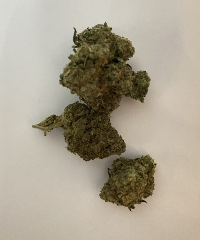 HammerBud – HammerBud Online Dispensary